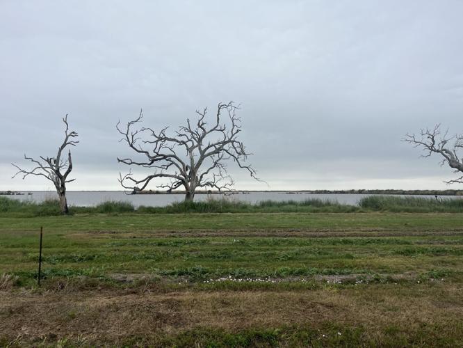 Could SpaceX be buying land in southern Vermilion Parish | Business ...