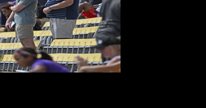 Advocate's Wilson Alexander wins FWAA Edward Aschoff Award | LSU | nola.com