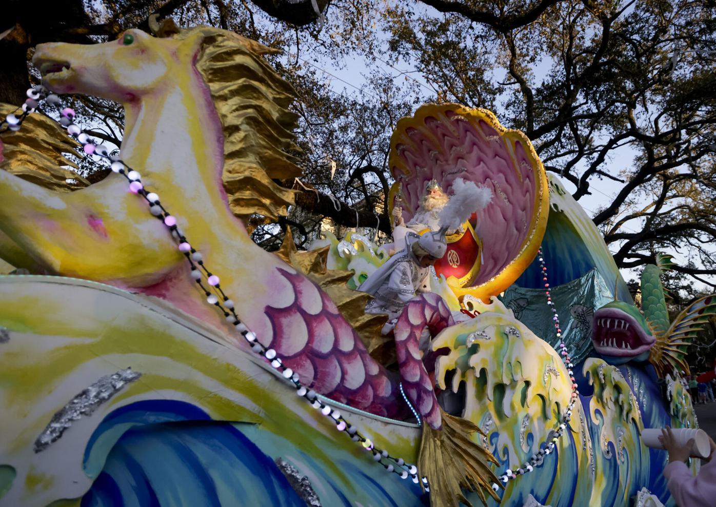 proteus parade throws