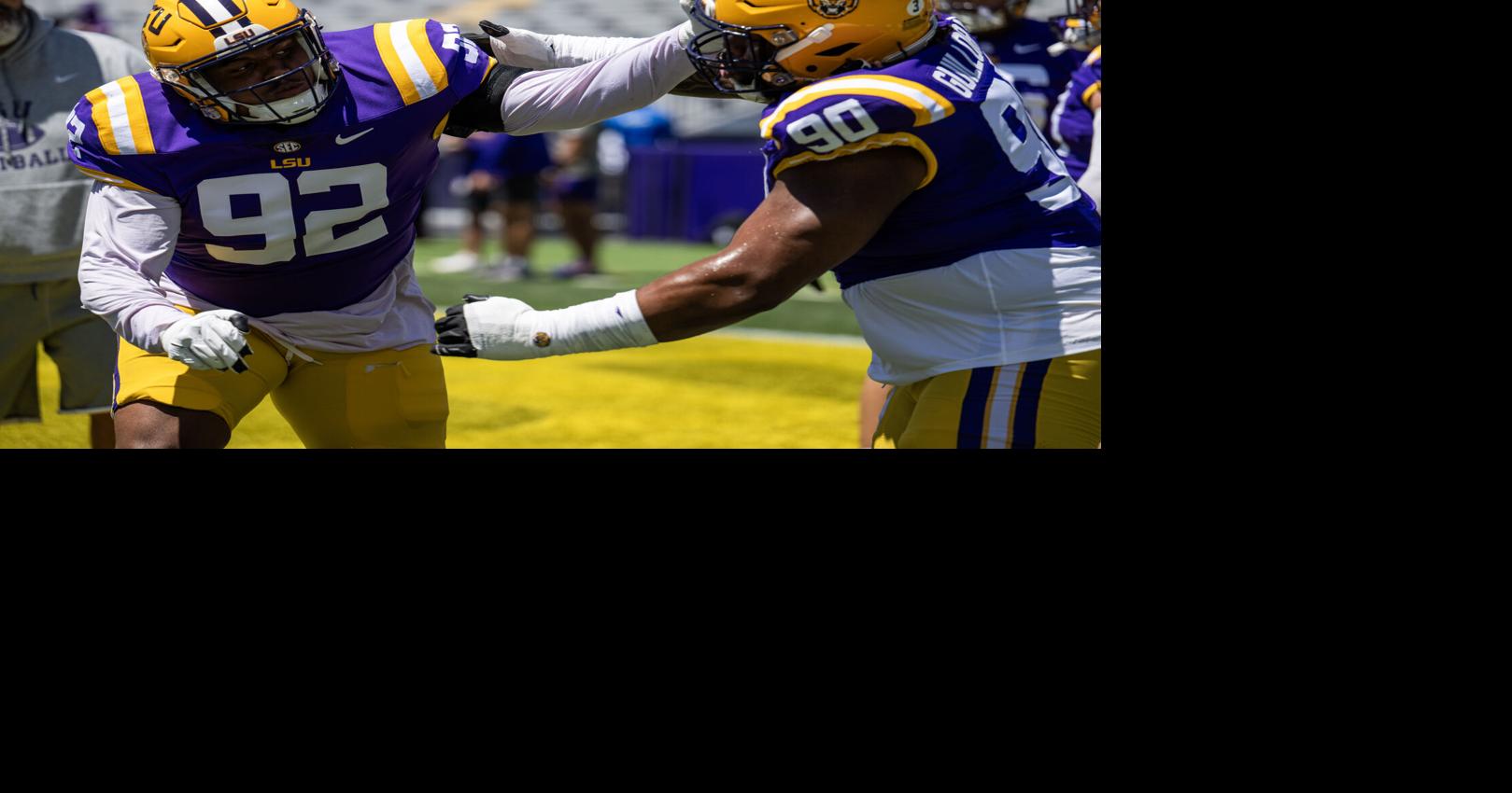 LSU football needs defensive tackles in transfer portal | LSU | nola.com