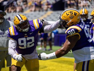 LSU football needs defensive tackles in transfer portal | LSU | nola.com