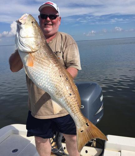 Bull redfish super easy to find right now | Sports | nola.com