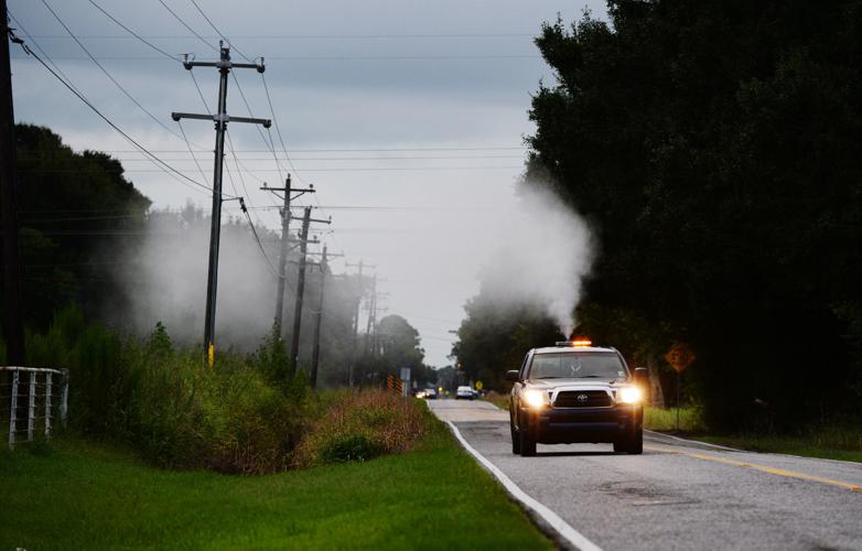 After historic flooding, mosquito explosion in Acadiana's near future ...