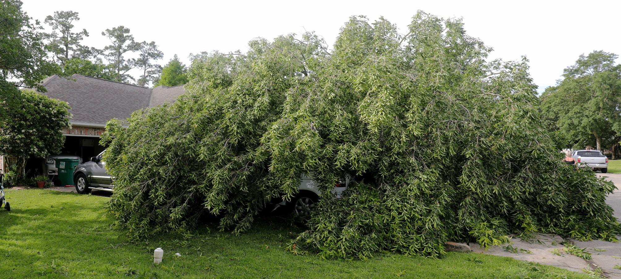 Low-end tornado touched down in Mandeville, National Weather Service ...