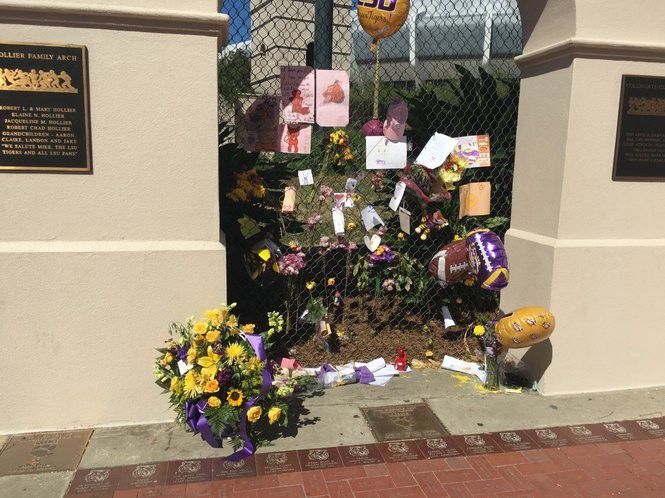Mike VI, LSU's live mascot, through the years | Sports | nola.com
