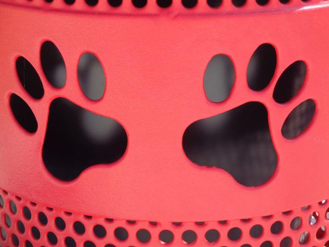 Who let the dogs out? Kenner and its new canine park! | Archive | nola.com