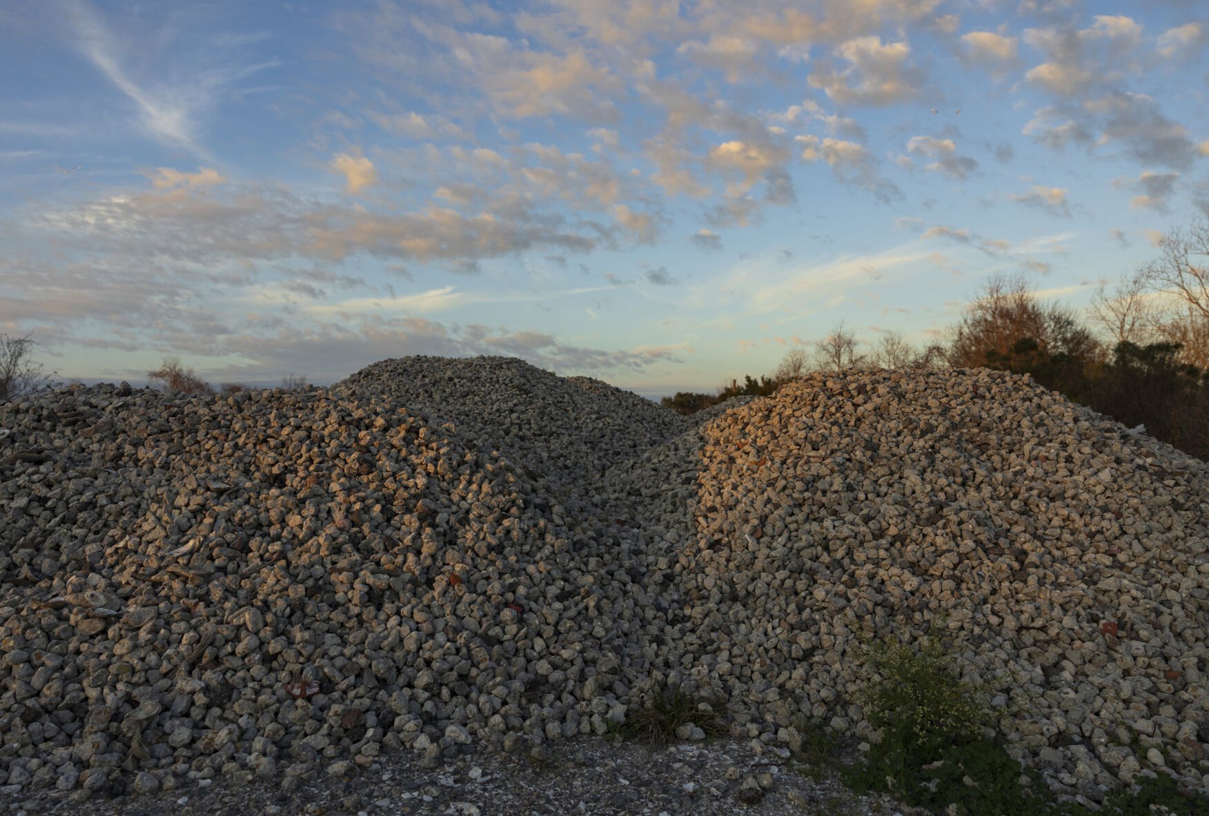 NO.cerrato.adv_13194.JPG | | nola.com