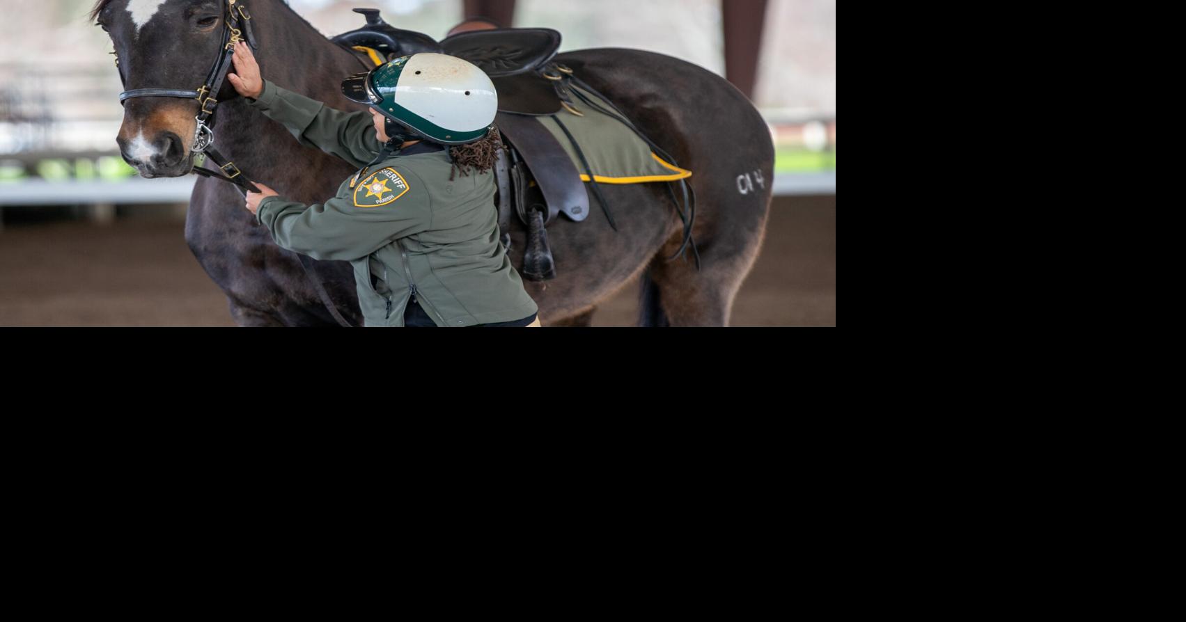 Francis, an Orleans Parish sheriff's deputy horse, is being treated for ...