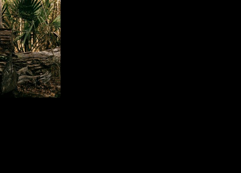 Amanda Shaw gets down to her musical foundations on new Cajun album ...