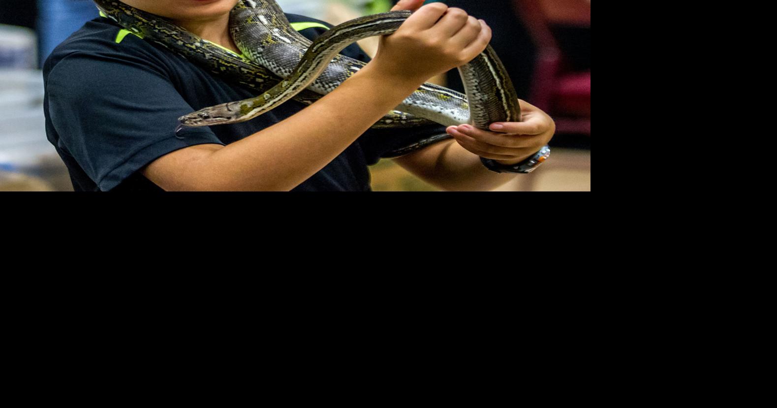 Reptile show returns to Slidell Harbor Center: See details ...