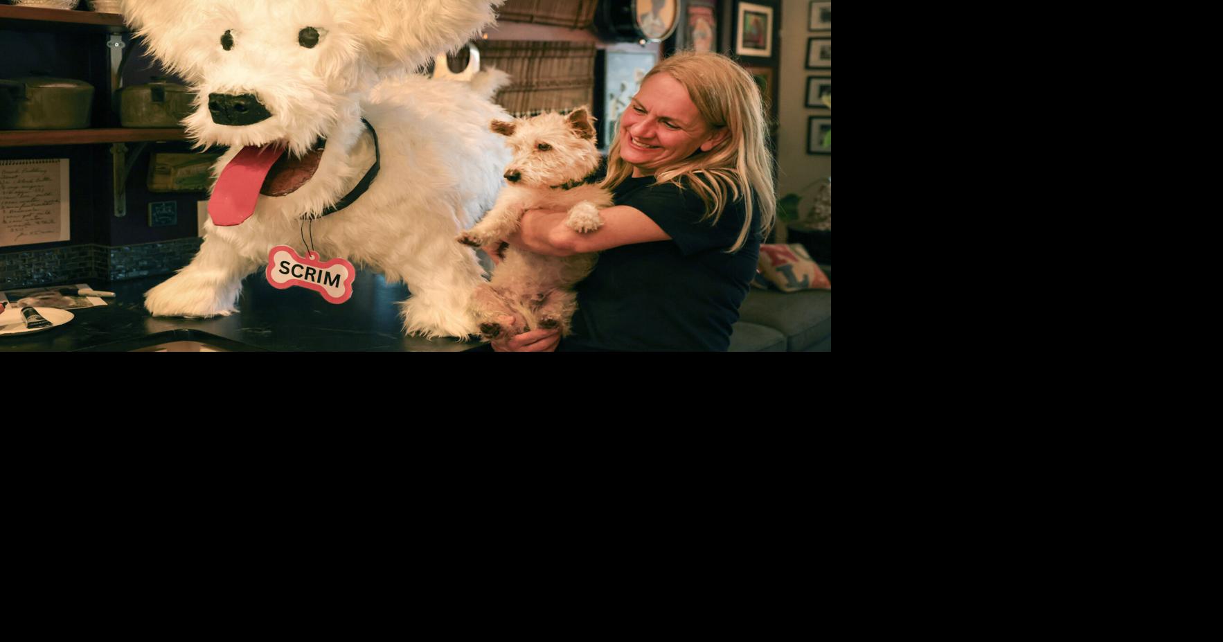 Scrim, New Orleans famous fugitive dog, captured ... again ...