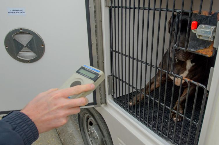 Louisiana SPCA forced to reduce animal control services in New Orleans ...