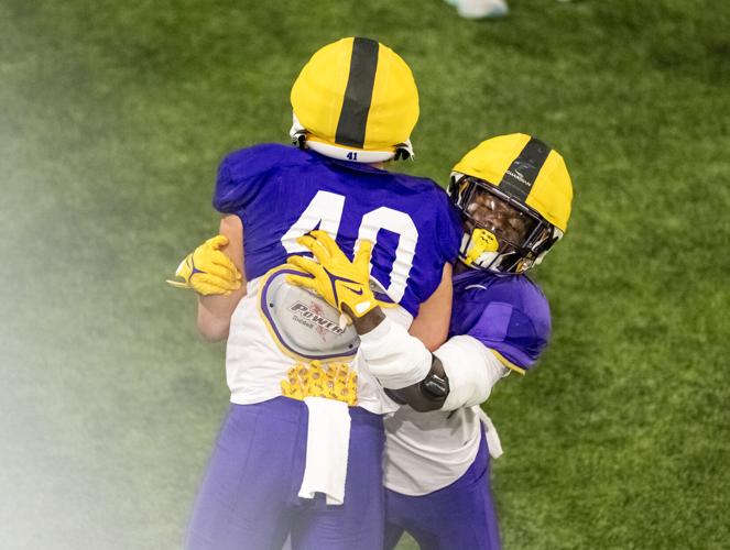 Could LSU LB Harold Perkins be in for a monster season? | LSU | nola.com
