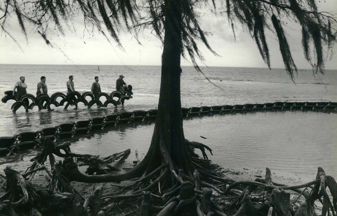 Fontainebleau State Park: Vintage photos of the historic Mandeville ...