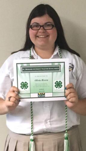 Parish Lines column: Ag Magic on the River welcomes families | News ...