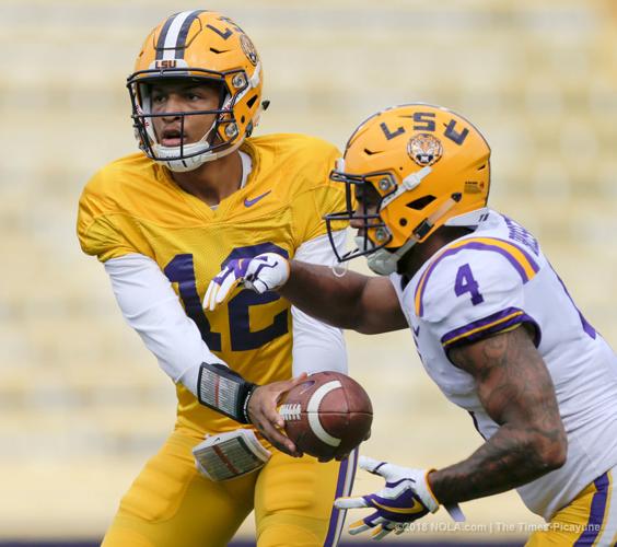 Check out the final stats from LSU football's spring game | Archive ...