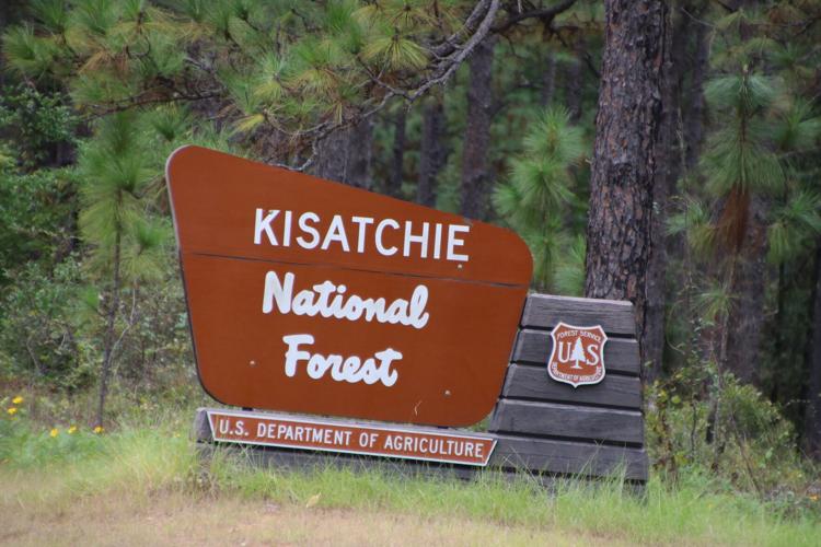 Hand over a national forest to locals? Send that order back | Faimon ...