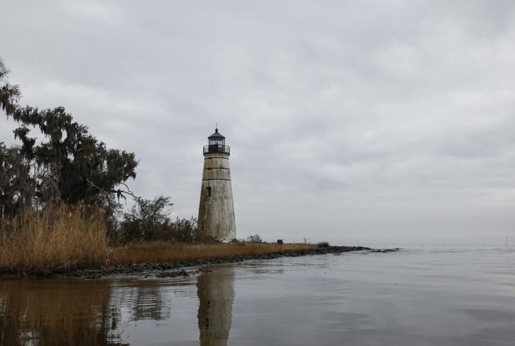 NFL, others host cypress trees planting in Madisonville | Super Bowl ...