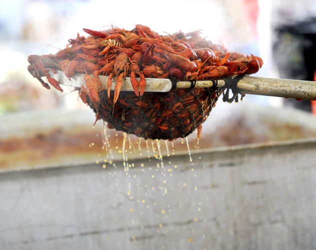 A chilly winter means crawfish are small and pricey in New Orleans, but ...