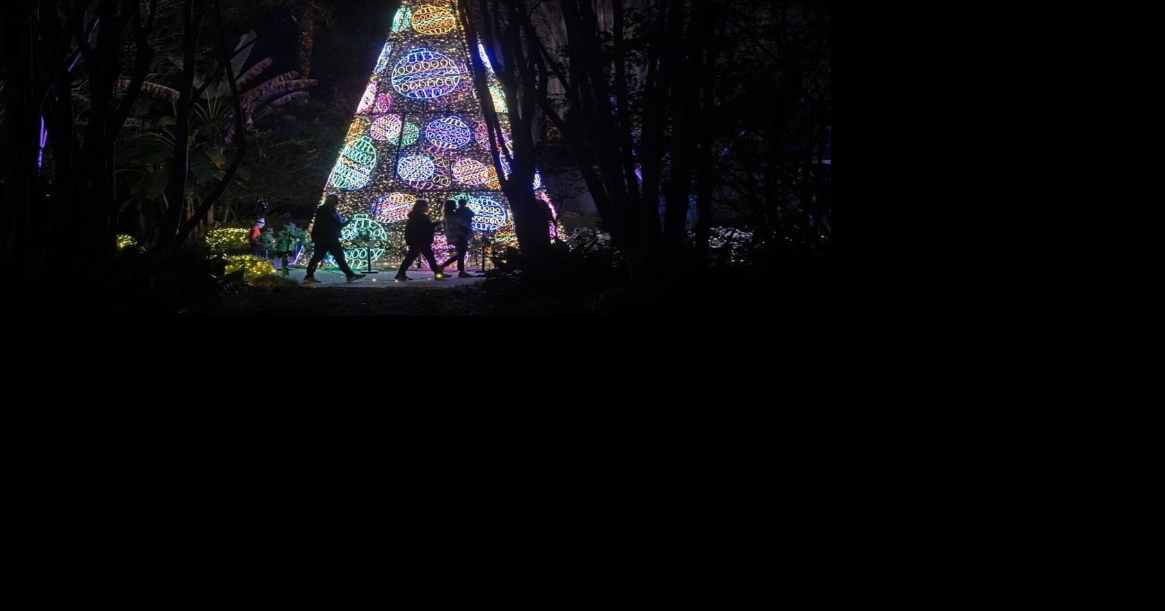 Ed Pratt: A Christmas gift, and a reality check | Opinions and ...