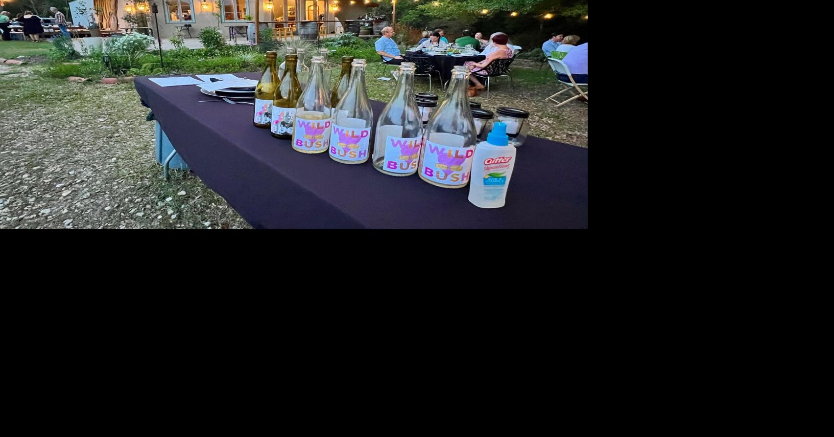 Wild Bush vineyard out to change what Louisiana wine can be | Where ...