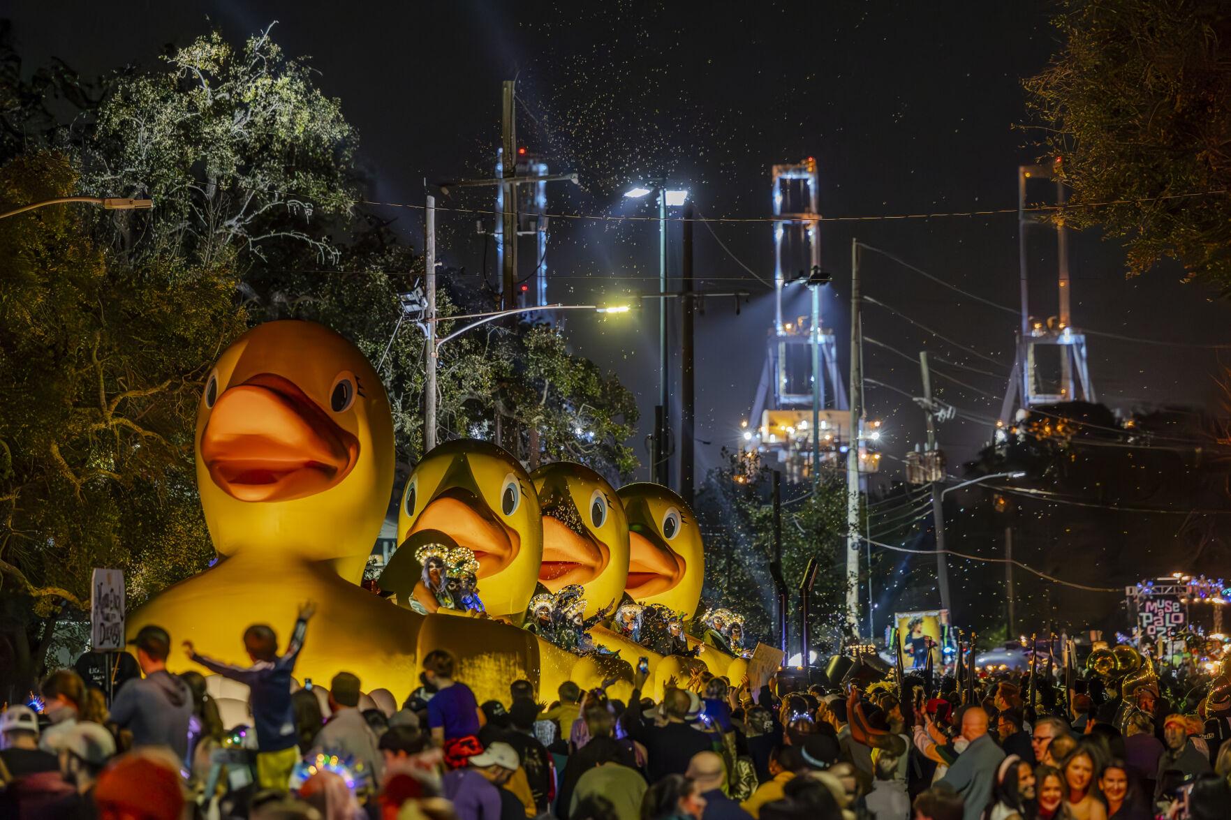 Photos, video: The Krewe of Muses lights up a beautiful New Orleans ...