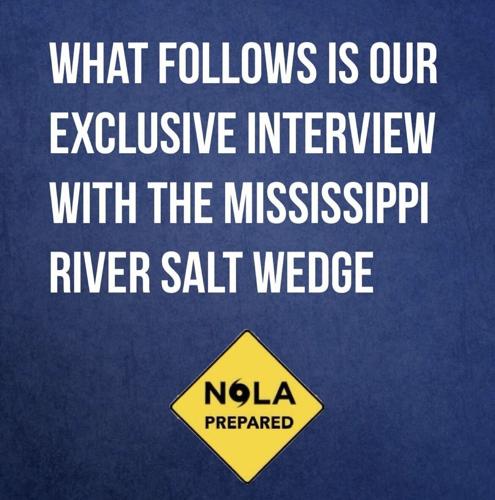 Ridiculous reactions to New Orleans saltwater intrusion | Arts | nola.com