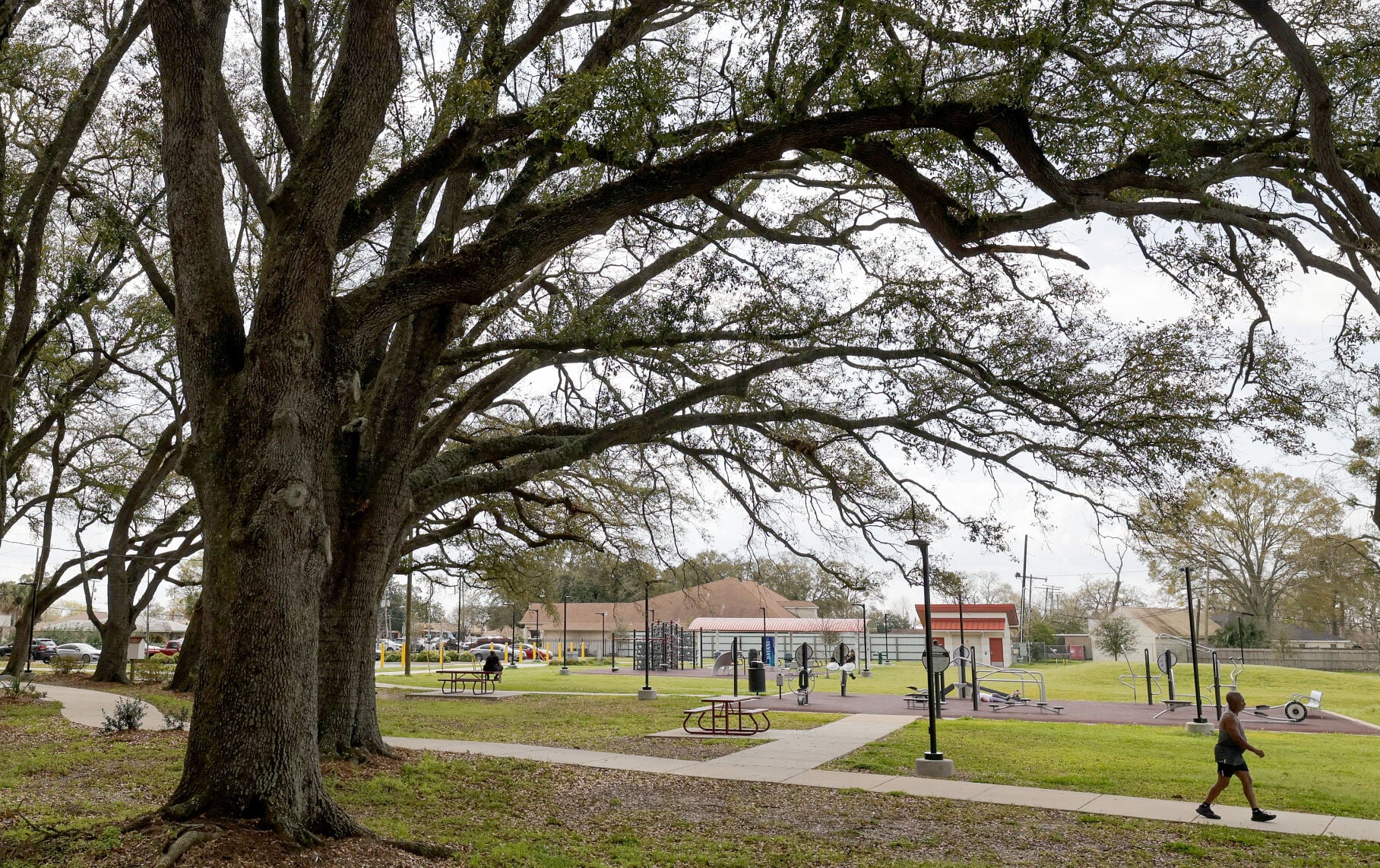 Hope Haven has been sold for $3.8M. Here's what's planned. | Jefferson ...