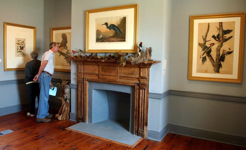 1821: John James Audubon draws inspiration from Louisiana | 300 for 300 ...