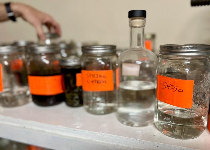 Borasso Spirits distillery, tasting room opens in Ninth Ward | Where ...