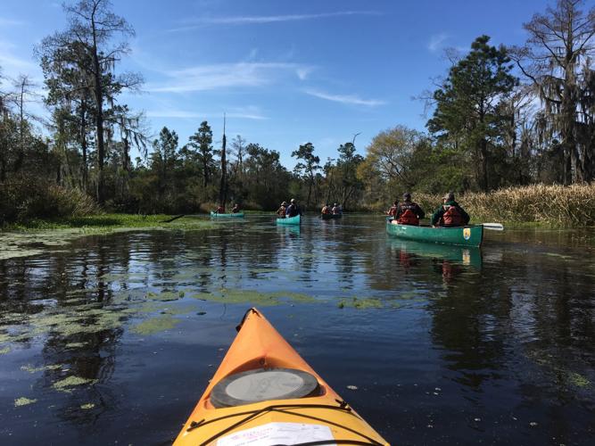 Wildlife Refuge canoe trips offer up close look at Big Branch Marsh ...