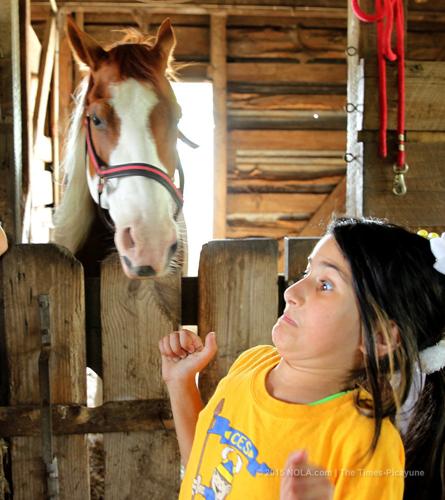 LSU AgCenter hosts AgMagic on the River at Docville Farm | Education ...