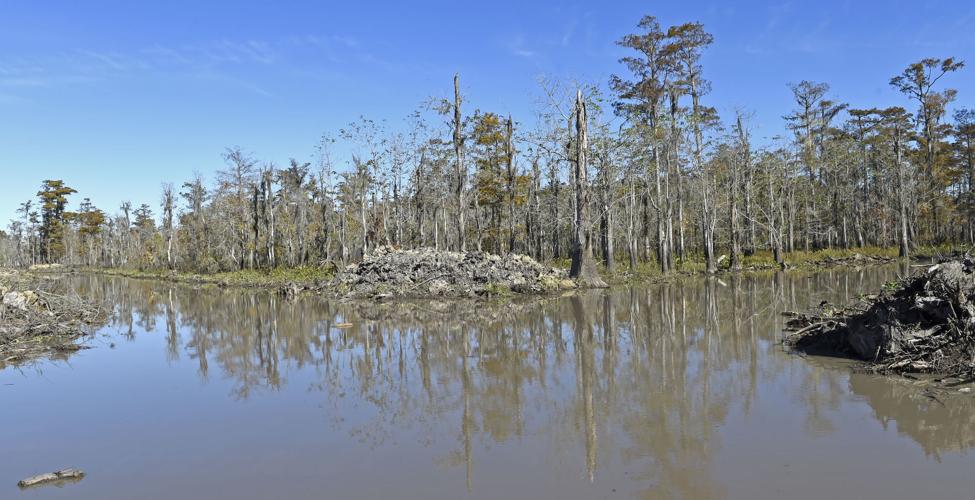 Missteps in building Amite River diversion canal design flaws ...
