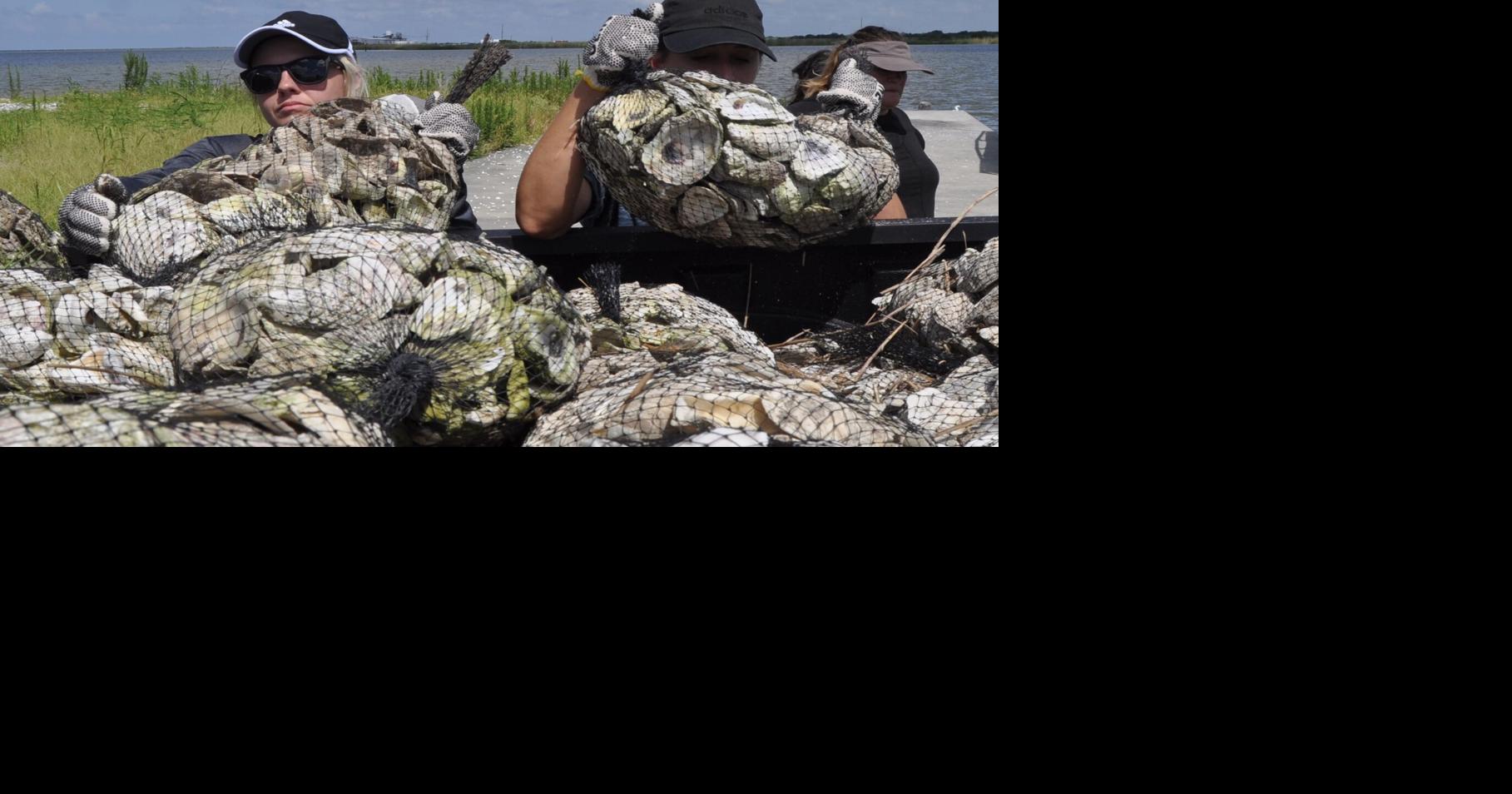 Want your leftovers to protect Louisiana? These restaurants recycle ...