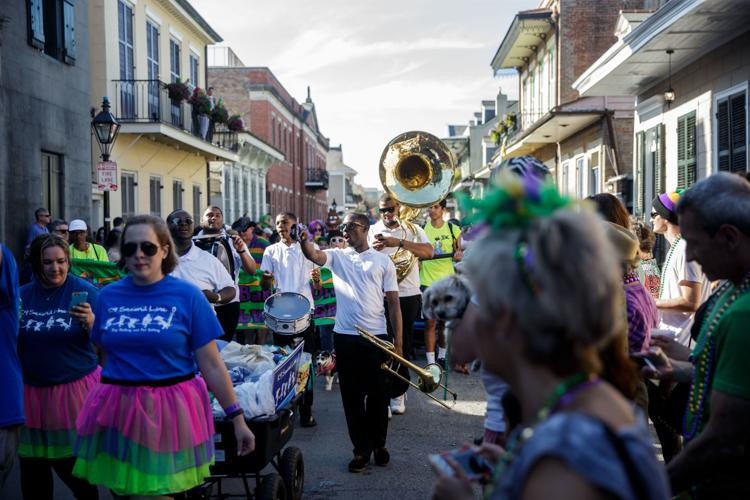Photos: Spray painting dogs, dressing as pirates all the norm at Krewe ...
