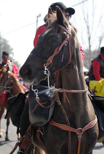 Photos: Perfect weather, lots of smiles for NOMTOC parade in Algiers ...