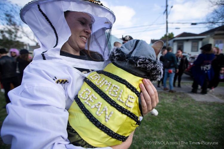 See the krewes of Red Beans and Dead Beans meet on Lundi Gras 2019 ...