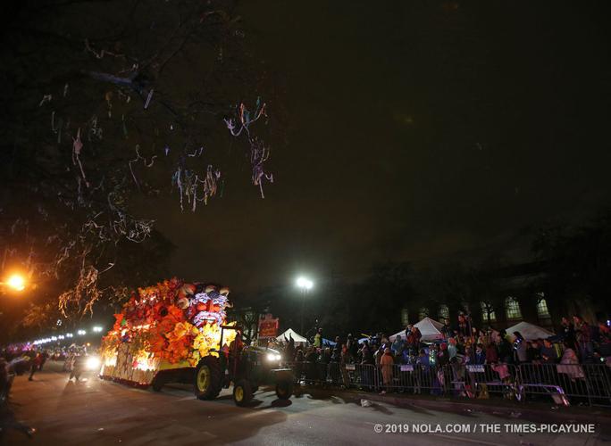 The Krewe of Orpheus lights up the night: See the photos ...