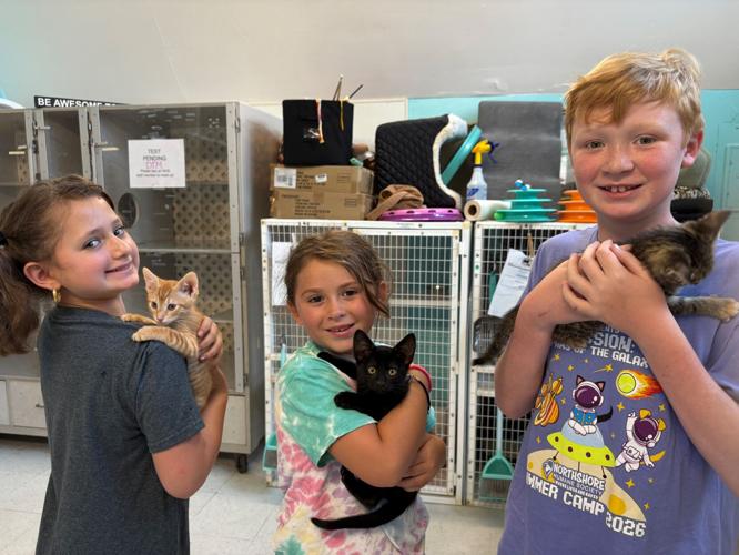 Summer camp has gone to the dogs, the cats and the kids | One Tammany ...