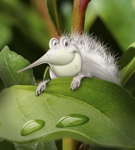 How to treat tea scale on camellia bushes | Home/Garden | nola.com