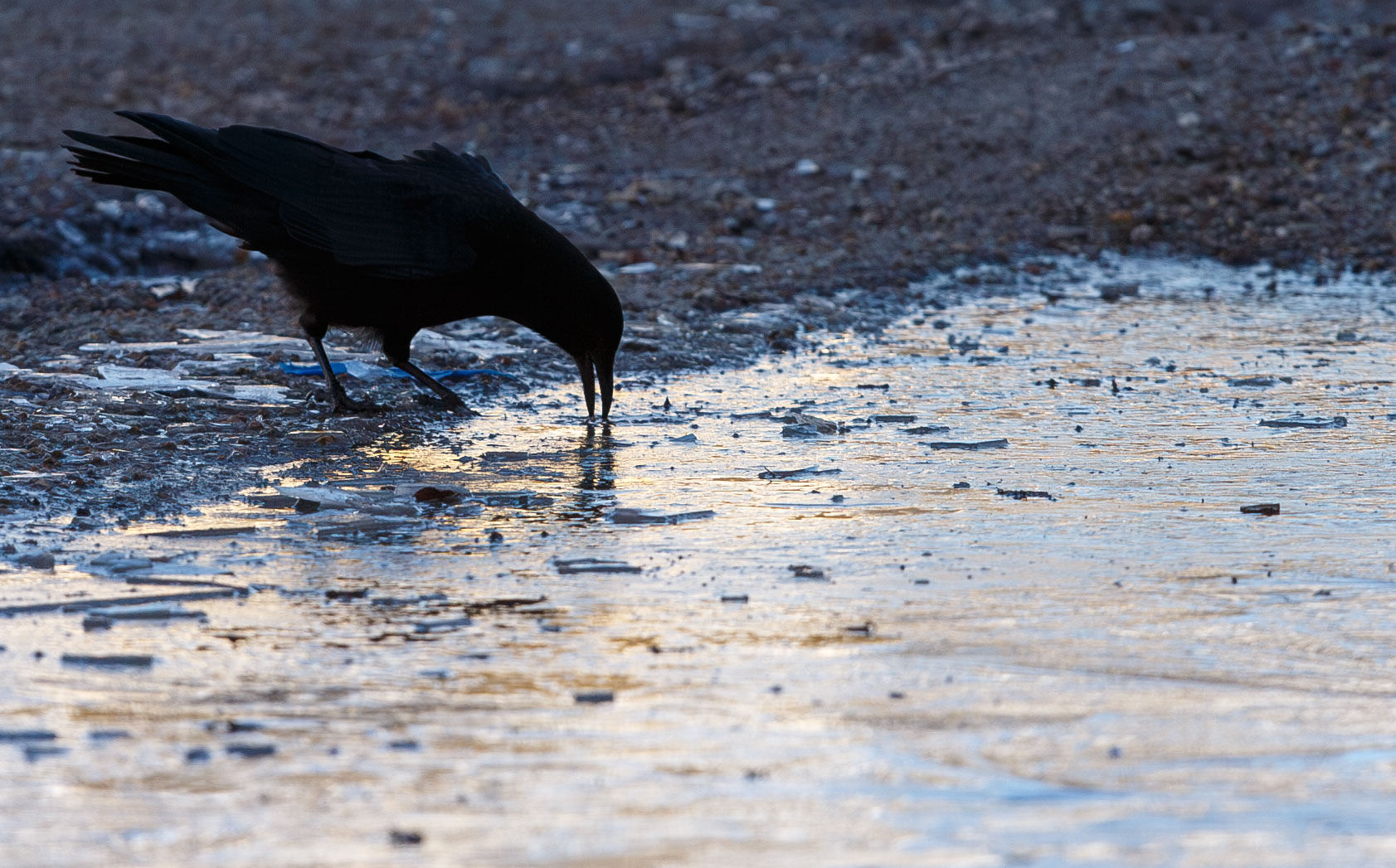 See cold photos from around New Orleans as the region prepares for the ...