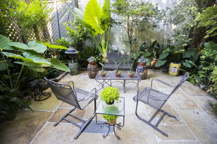 Hidden Esplanade garden of landscape architect Rene Fransen is lush in ...