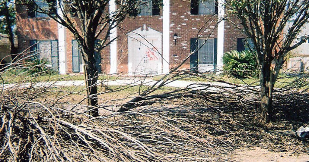 Katrina 'Mold Queen' checks rearview mirror as New Orleans navigates ...