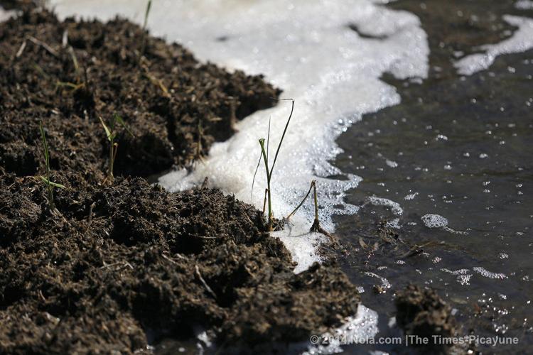 To save Louisiana's coast, protect our Restore Act funds: Kevin Kane ...