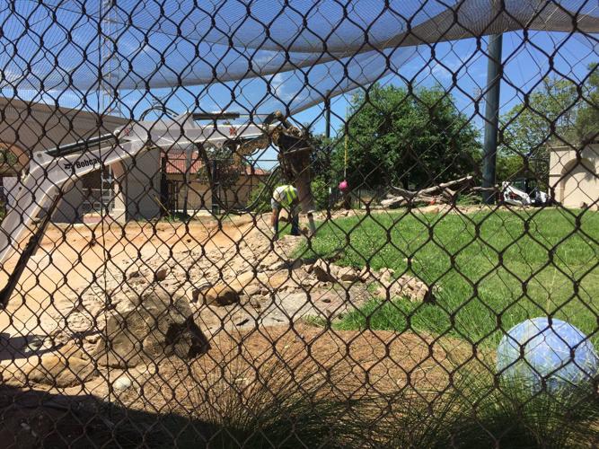 Video: LSU habitat upgrades under way; next Mike the Tiger to enjoy new ...