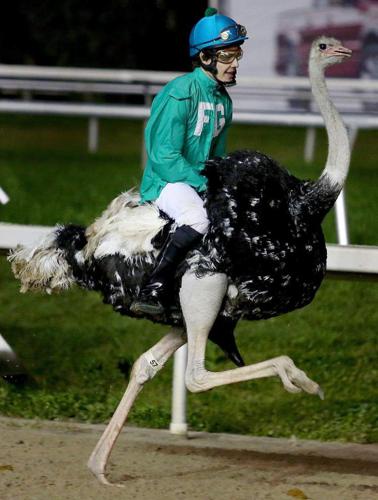 Don’t Miss Events in New Orleans Aug. 14-21 | Entertainment/Life | nola.com