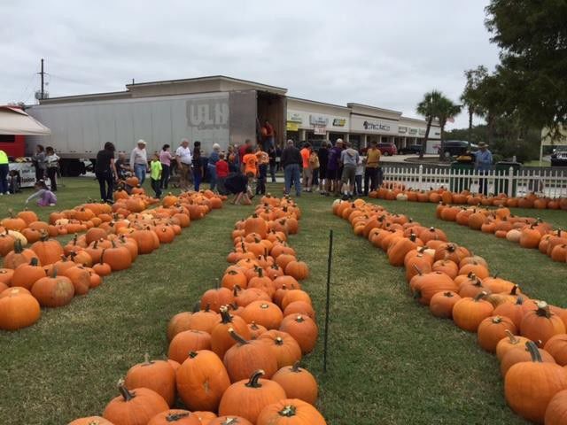9 pumpkin patches to fall for around New Orleans | Louisiana Festivals ...