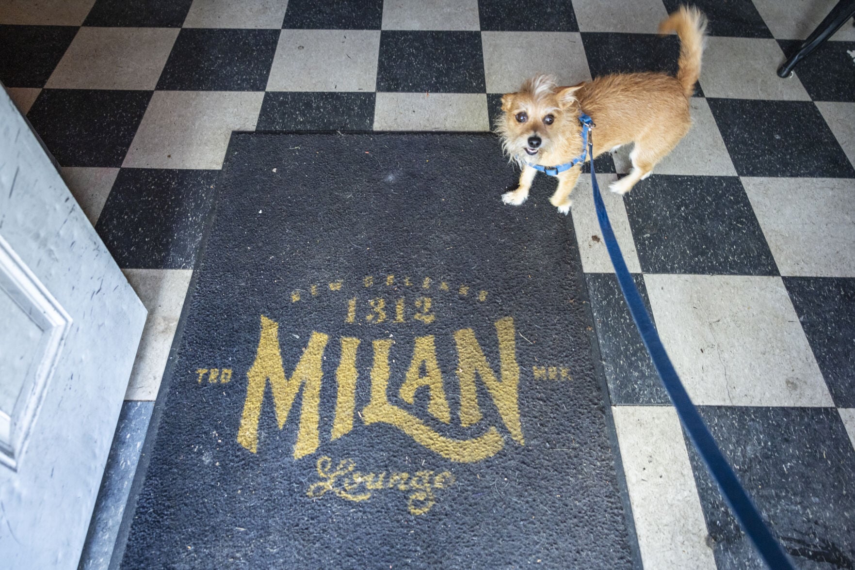 Last night at Milan Lounge in Uptown New Orleans | Where NOLA Eats ...