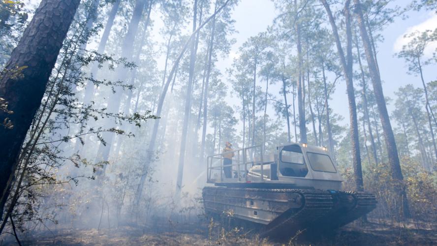 The government set fire to a Louisiana marsh; here's why, how ...