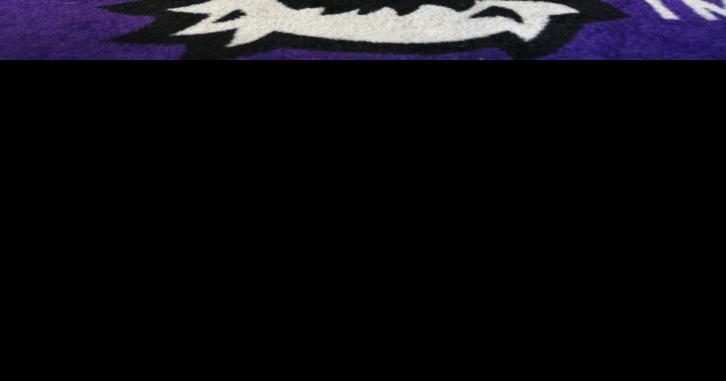 Big Lee's LSU memorabilia, trucks and casket go up for sale | Crime ...